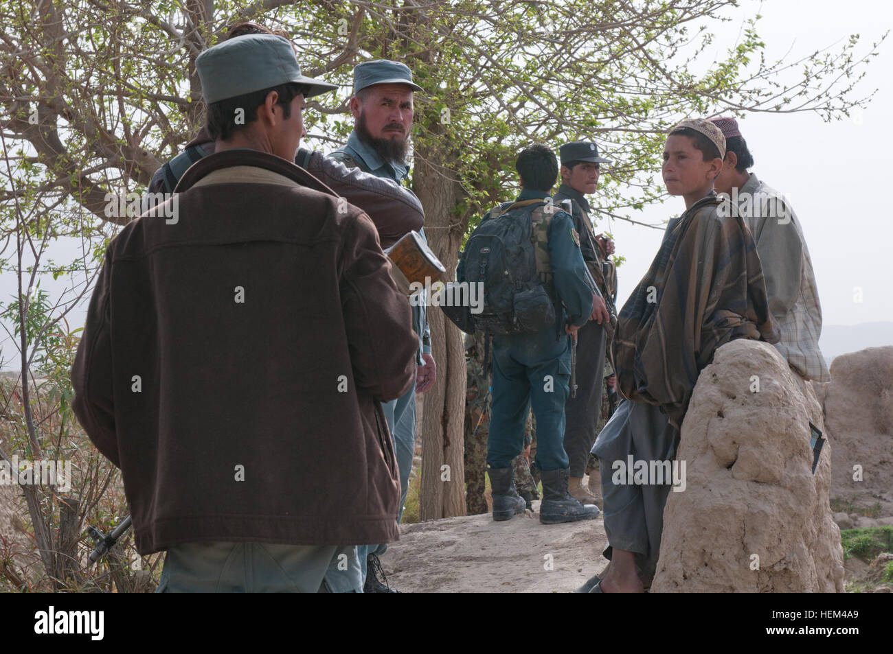 Artic wolves hi-res stock photography and images - Alamy