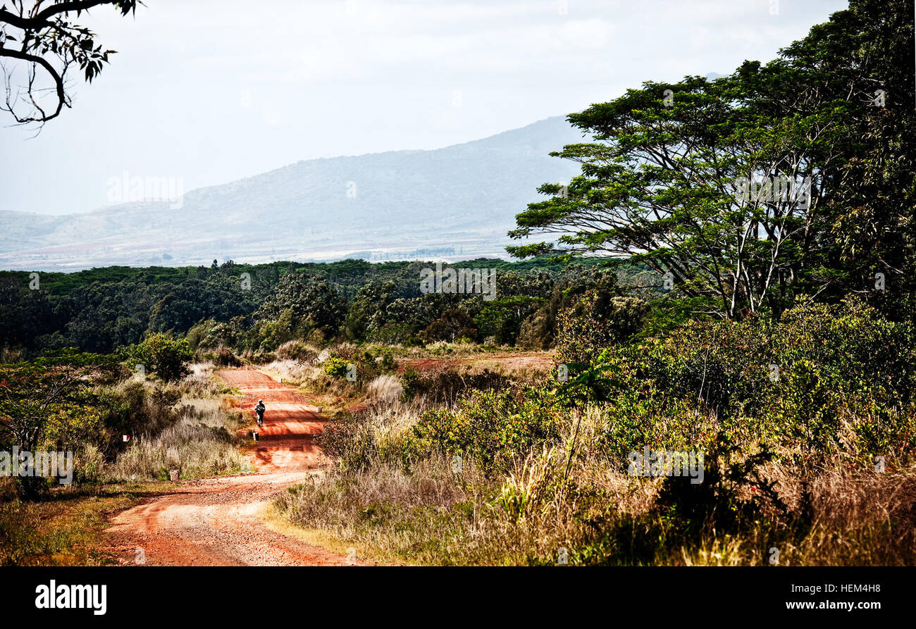 8th mp brigade from schofield barracks hi-res stock photography and images - Alamy