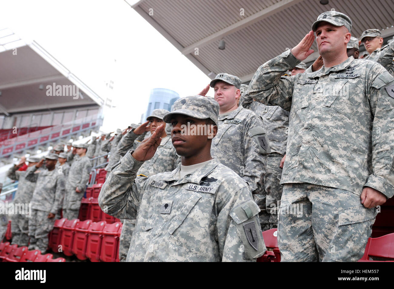 Blue spaders hi-res stock photography and images - Alamy