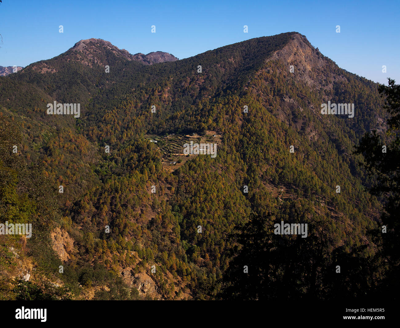 Remote village surrounded by forest on Kumaon Hills, Uttarakhand, India ...