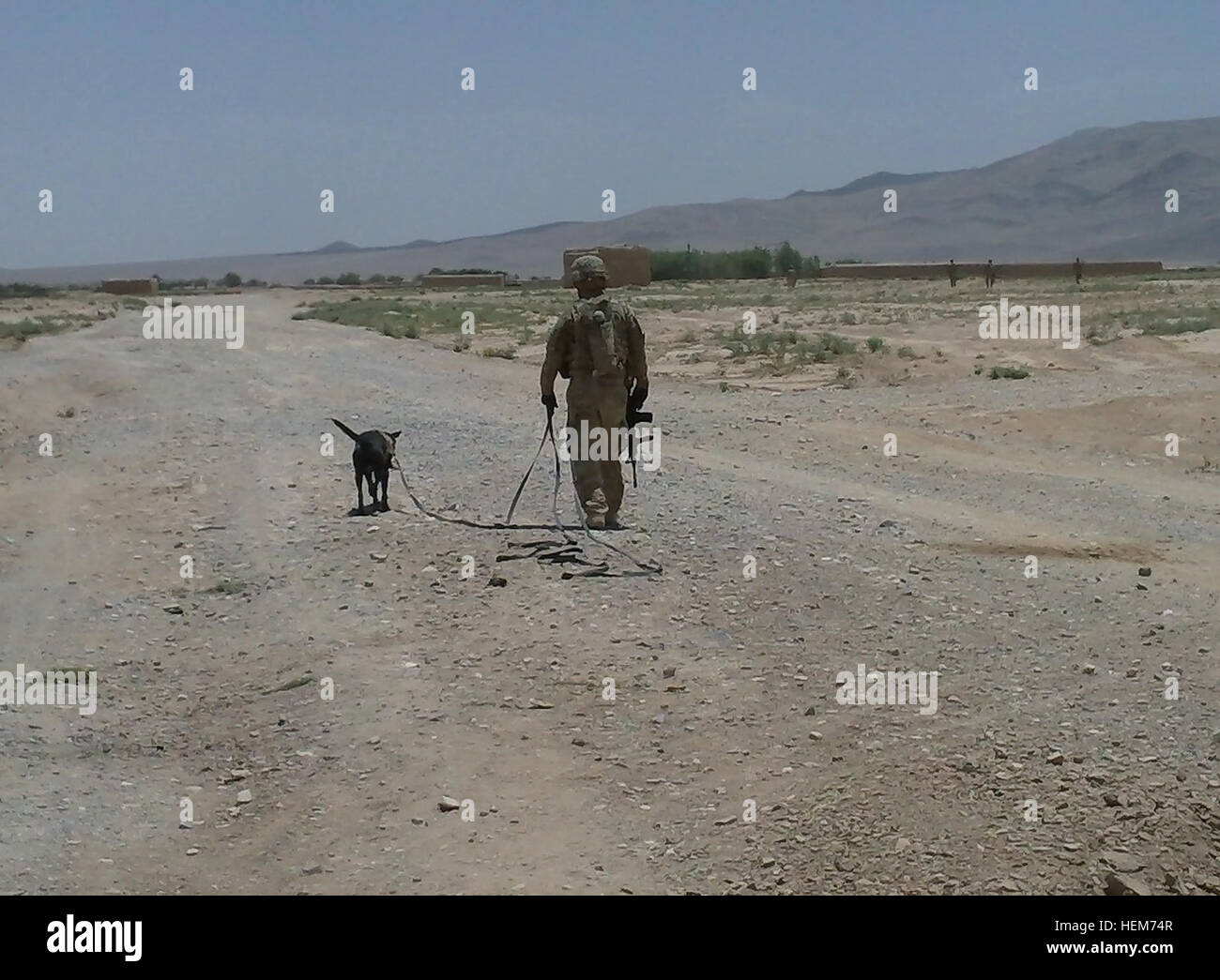 Mine detection dogs hi-res stock photography and images - Alamy