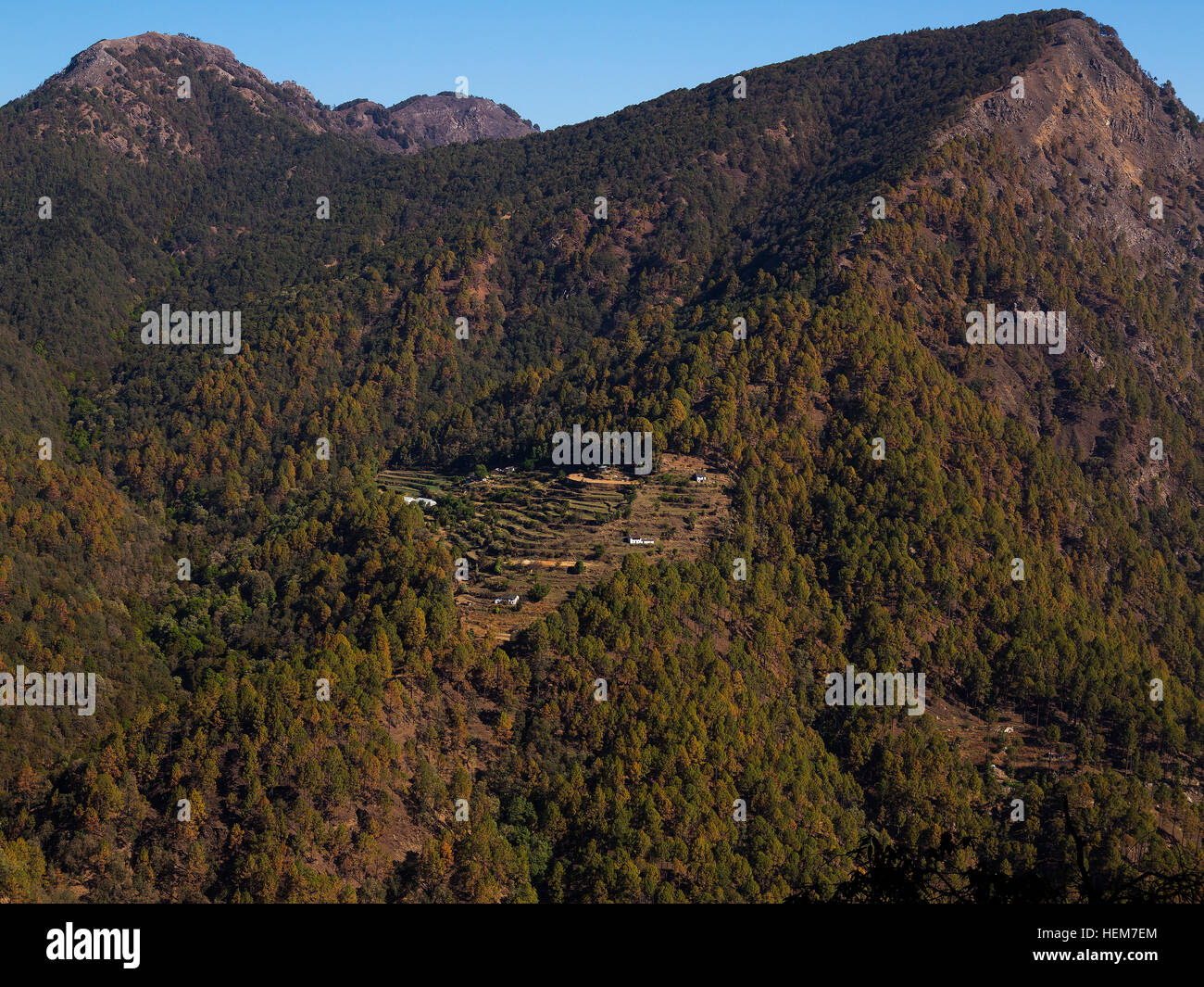 Remote village surrounded by forest on Kumaon Hills, Uttarakhand, India ...