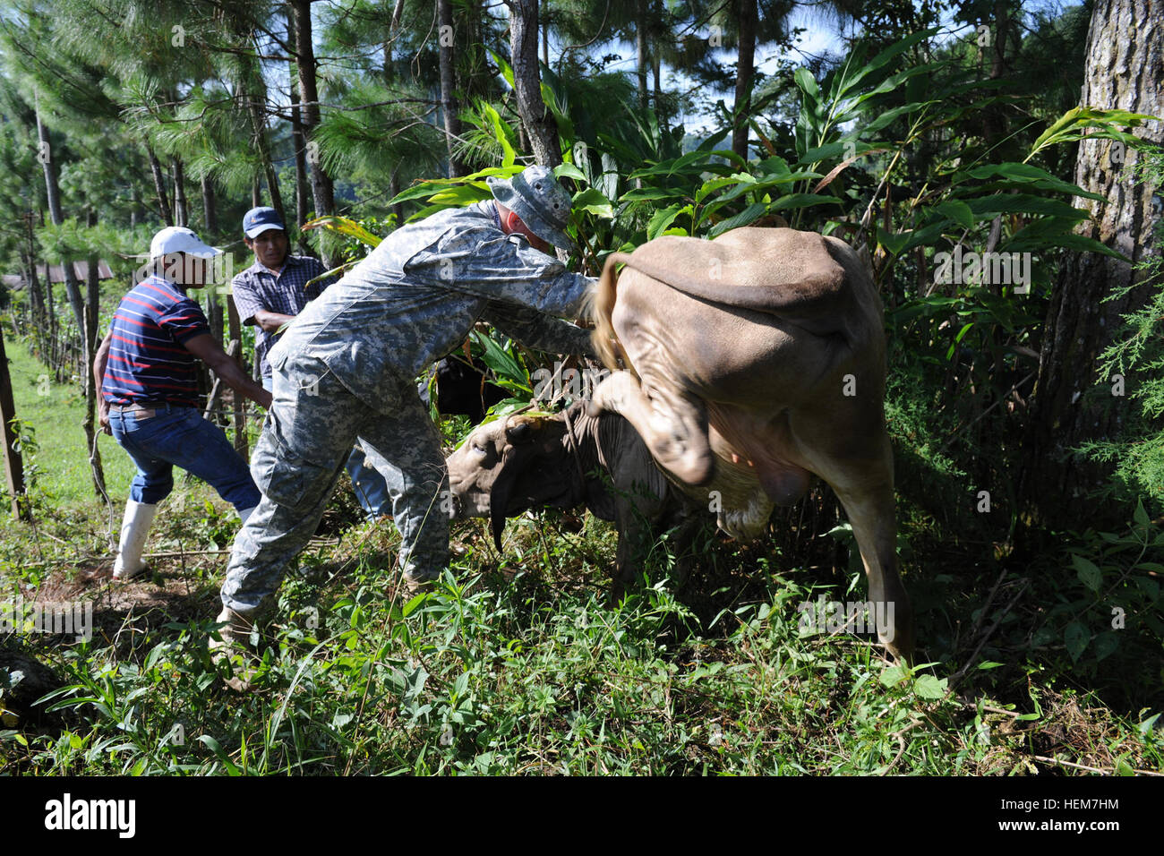 Soldiers from the U.S. Army Reserve's 109th Medical Detachment provide ...