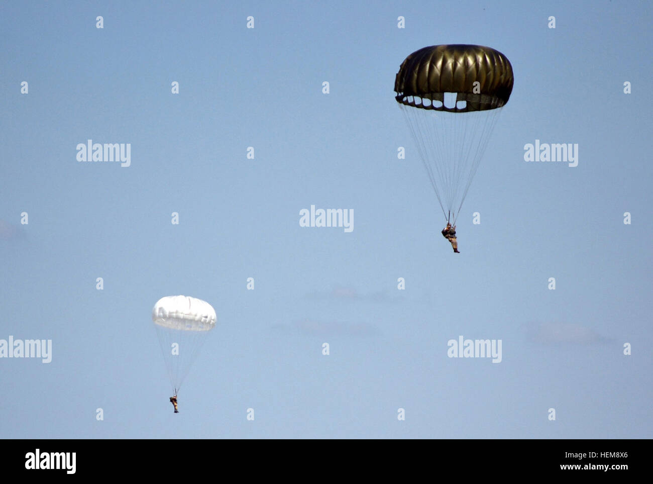 Tom Lupu (right) of the Liberty Jump Team prepares to land after ...