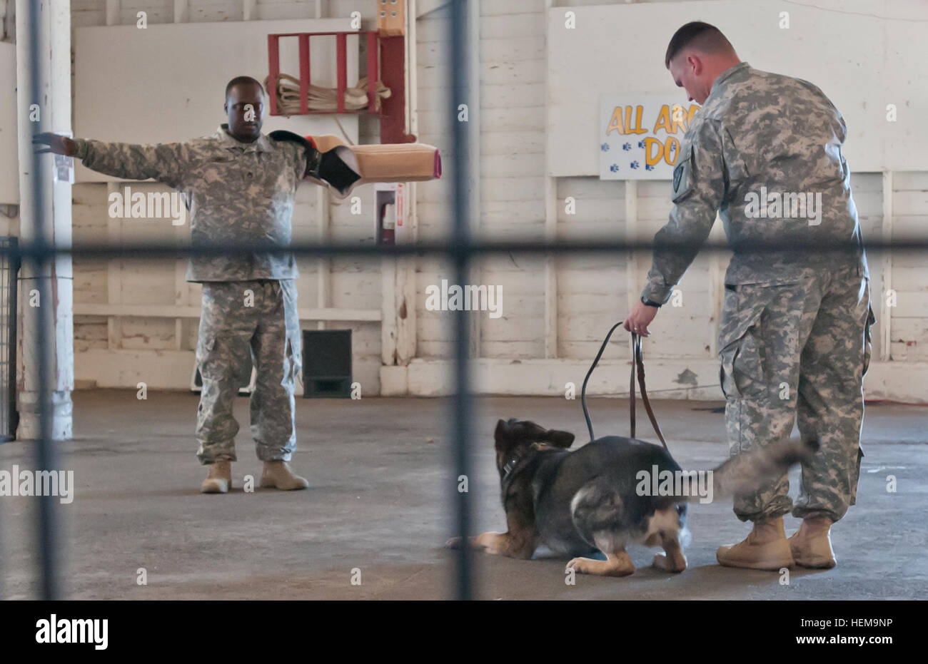 Military police handlers demonstrate the attack and obedience skills of ...