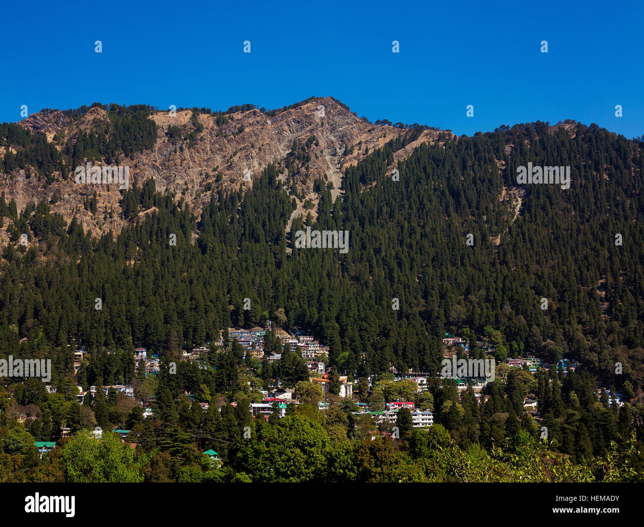 Naini Tal the summer town in India surrounded by pine tree forest Stock ...