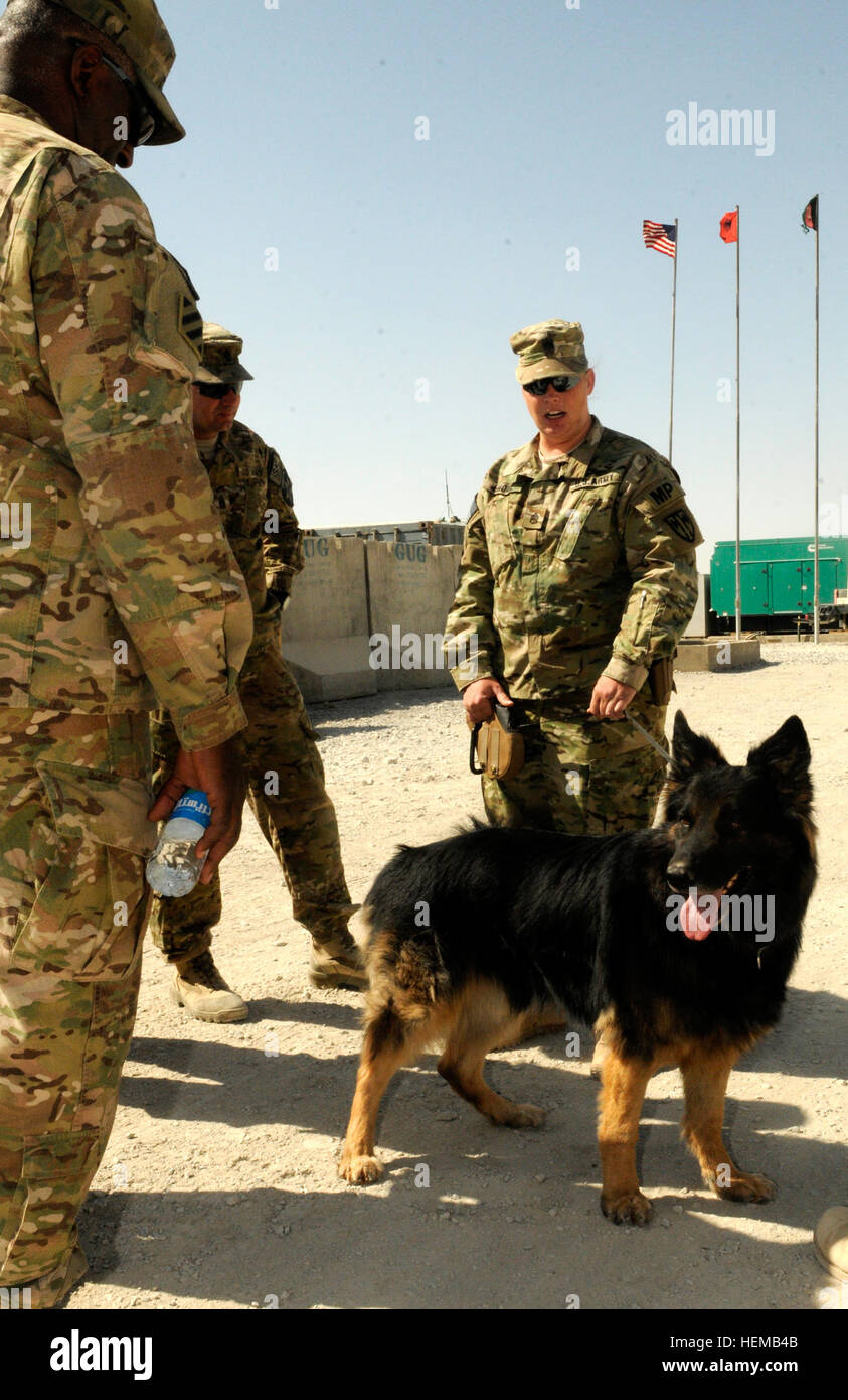 Staff Sgt. Sabrina Lindahl, a military working dog handler with 230th ...