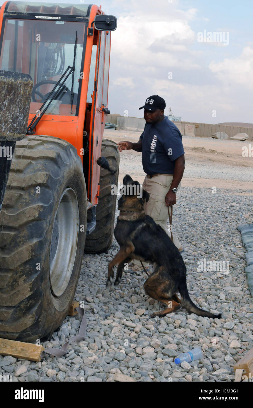 Tapiwa Datawa, an American K-9 Detection Services handler from Harare ...