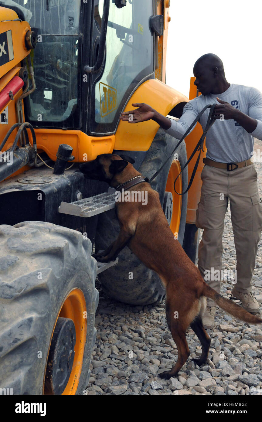 K 9 detection hi-res stock photography and images - Alamy
