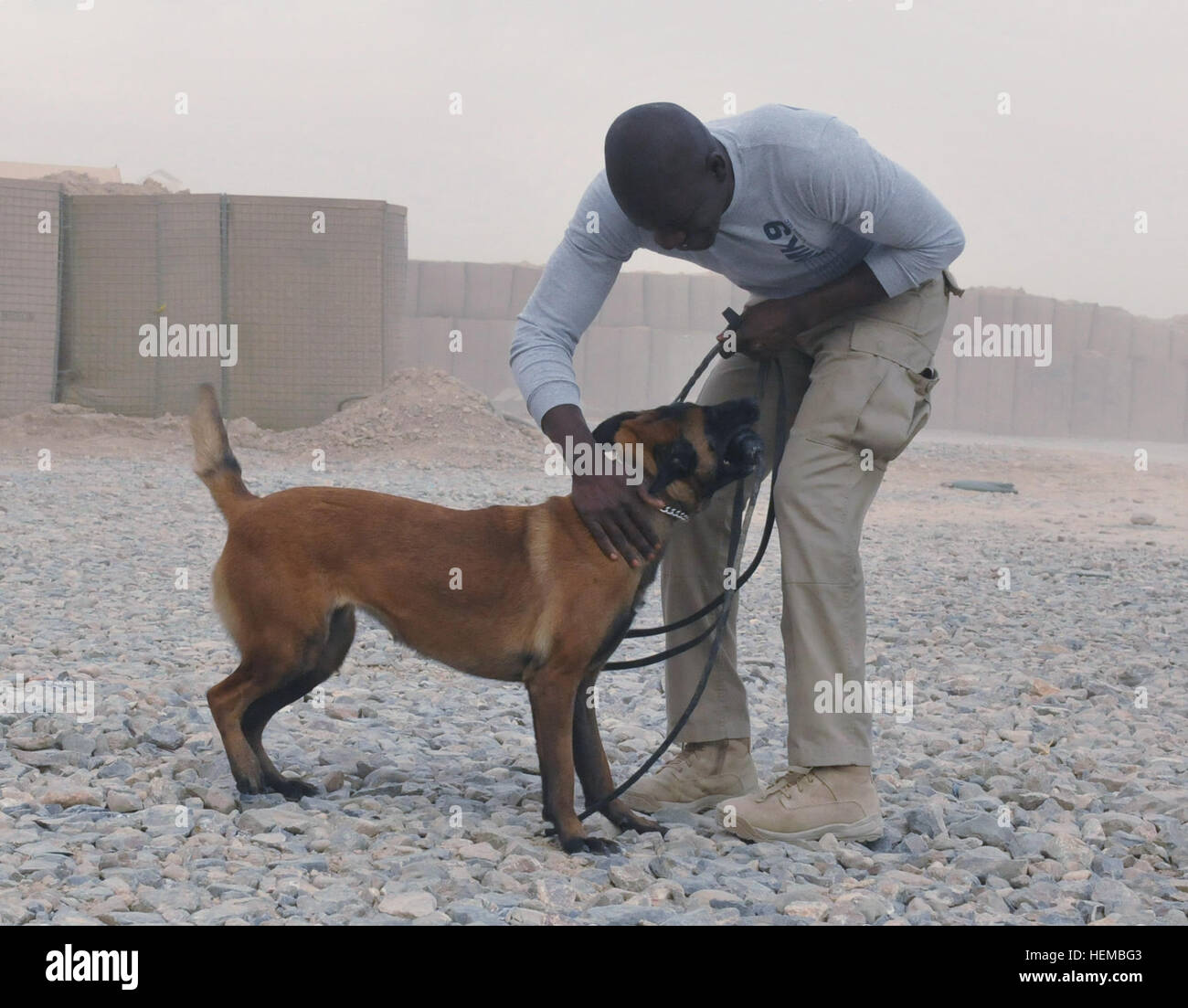 Jodelet Cesar, an American K-9 Detection Services handler from La Vega ...