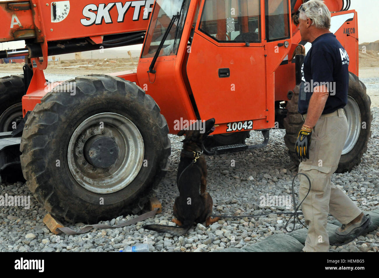 Lando, an explosives sniffing canine with American K-9 Detection ...
