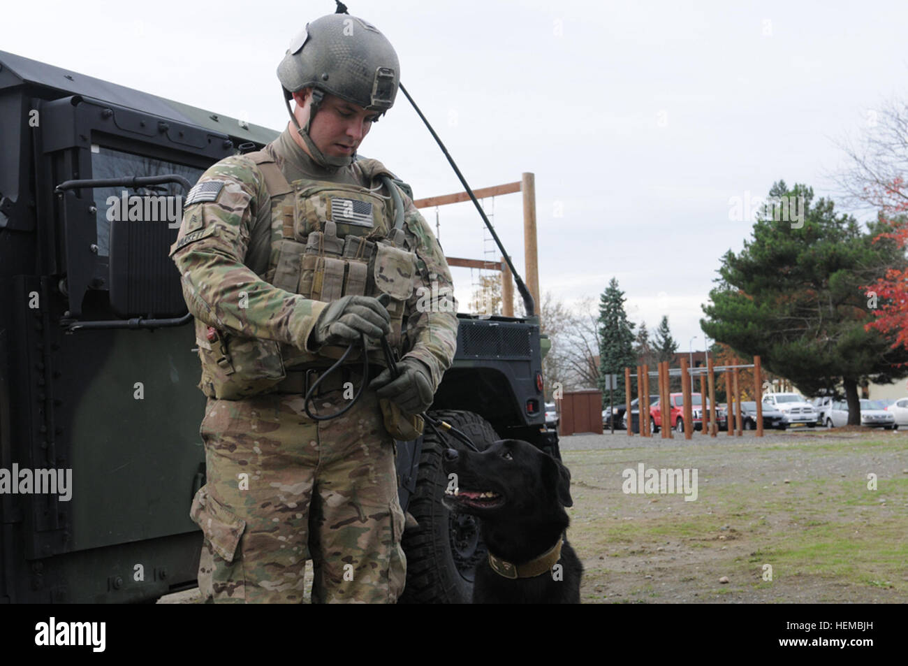 Mos 31k hi-res stock photography and images - Alamy