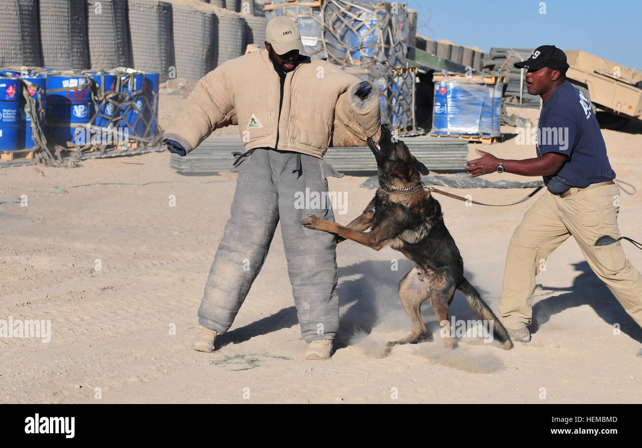 Tapiwa Datawa, an American K-9 Detection Services handler from Harare ...