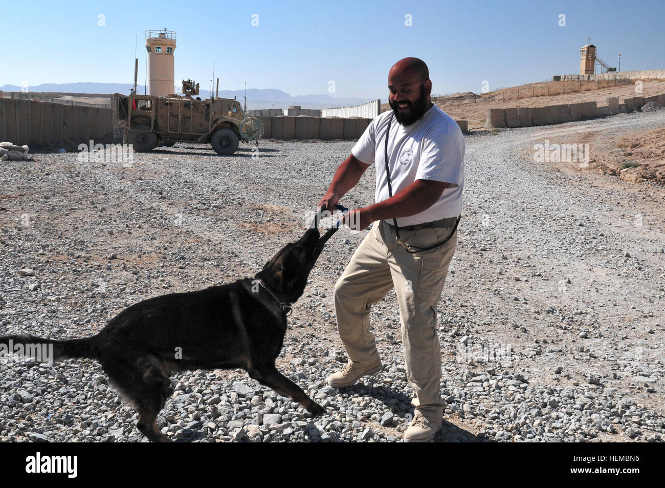 K 9 detection hi-res stock photography and images - Alamy