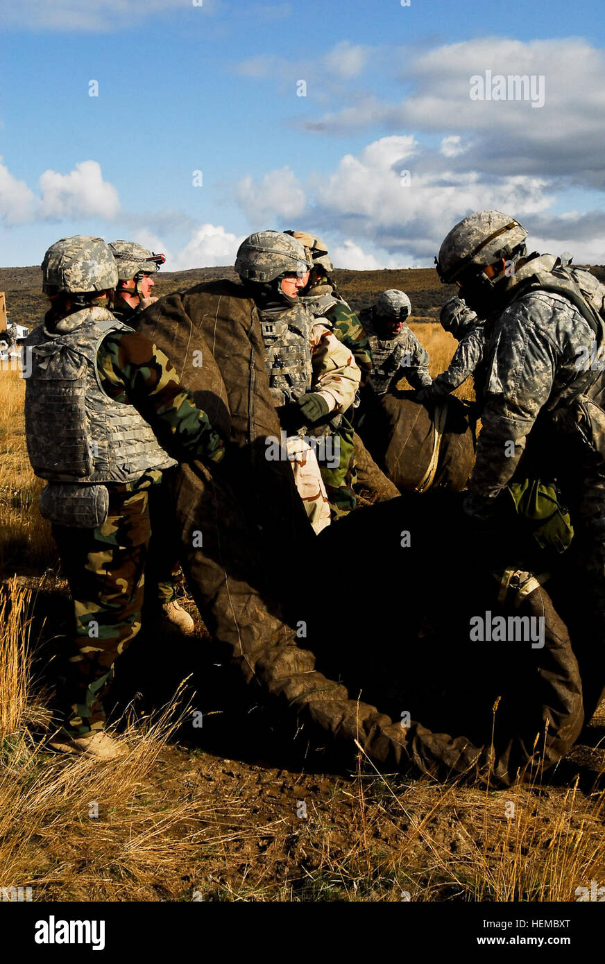 Soldiers with the 308th Brigade Support Battalion, 17th Fires Brigade ...