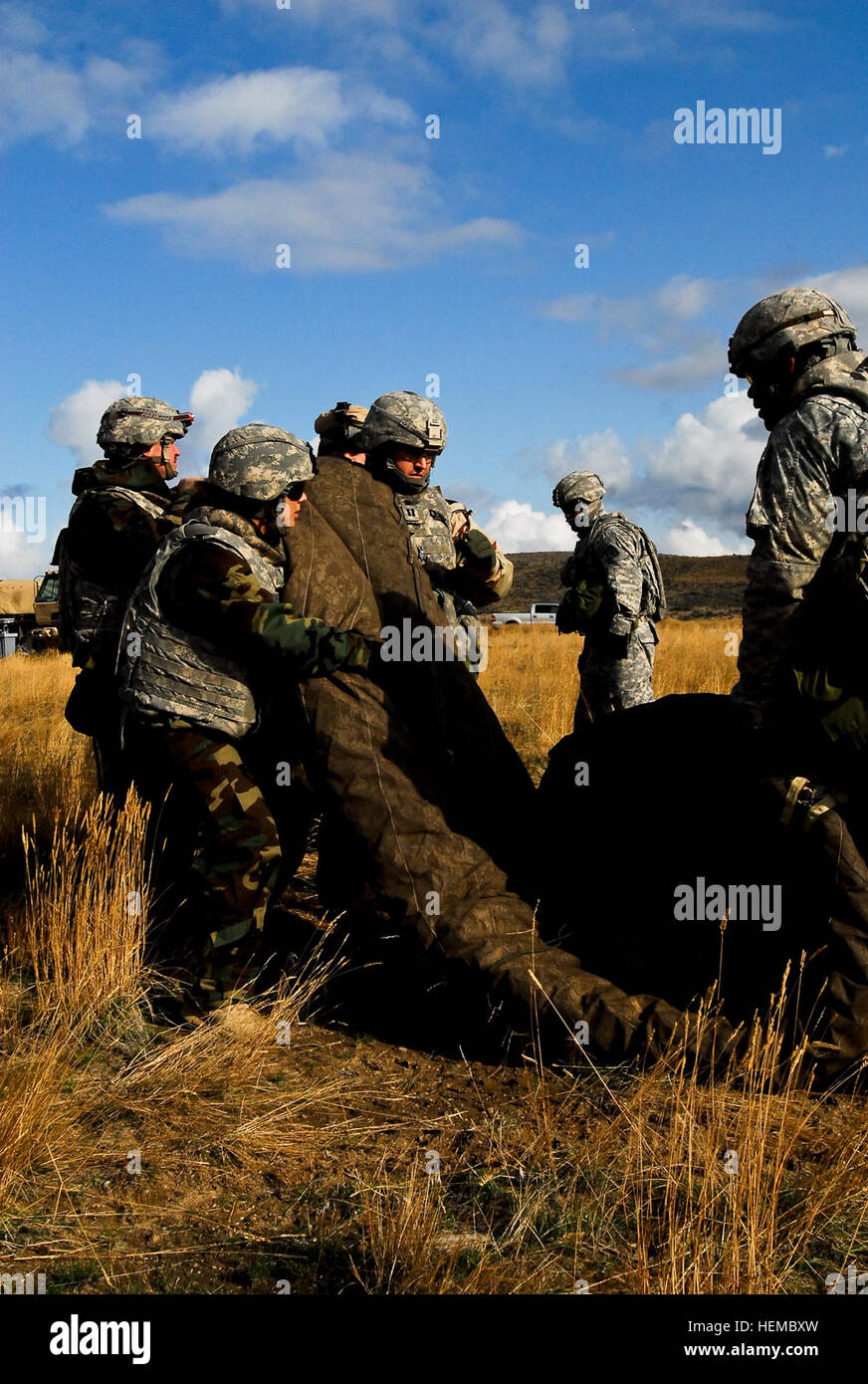 Soldiers with the 308th Brigade Support Battalion, 17th Fires Brigade ...