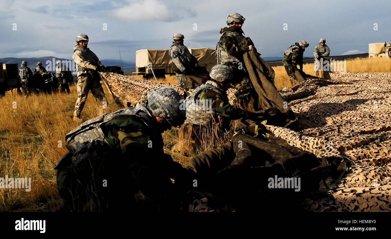 Soldiers with the 308th Brigade Support Battalion, 17th Fires Brigade ...