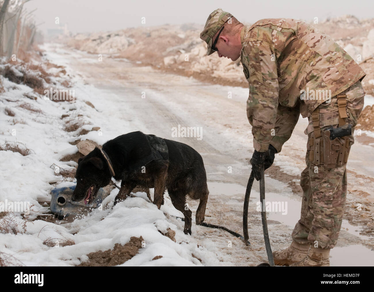 Army Staff Sgt. Allen, a mine-detection dog, and U.S. Army Sgt. Brian ...