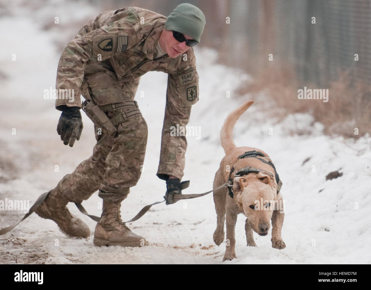 U.S. Army Sgt. Garret Grenier, a dog handler with the 49th Engineer ...