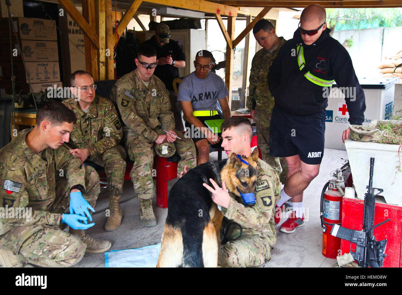 1st military working dog regiment hi-res stock photography and images ...