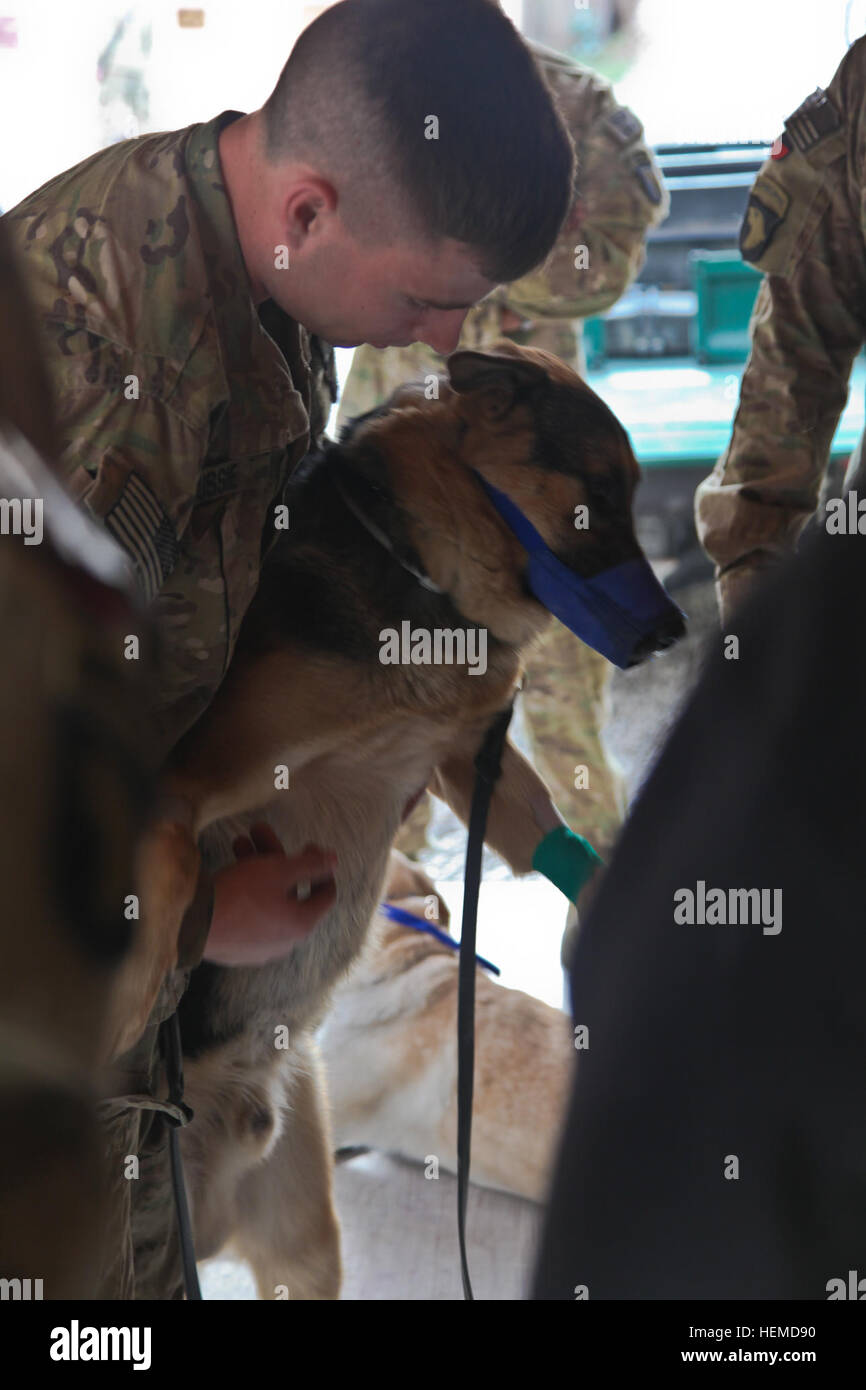 Spc. Uzziah Bussie, assigned to Bravo Company, 1st Battalion, 327th ...