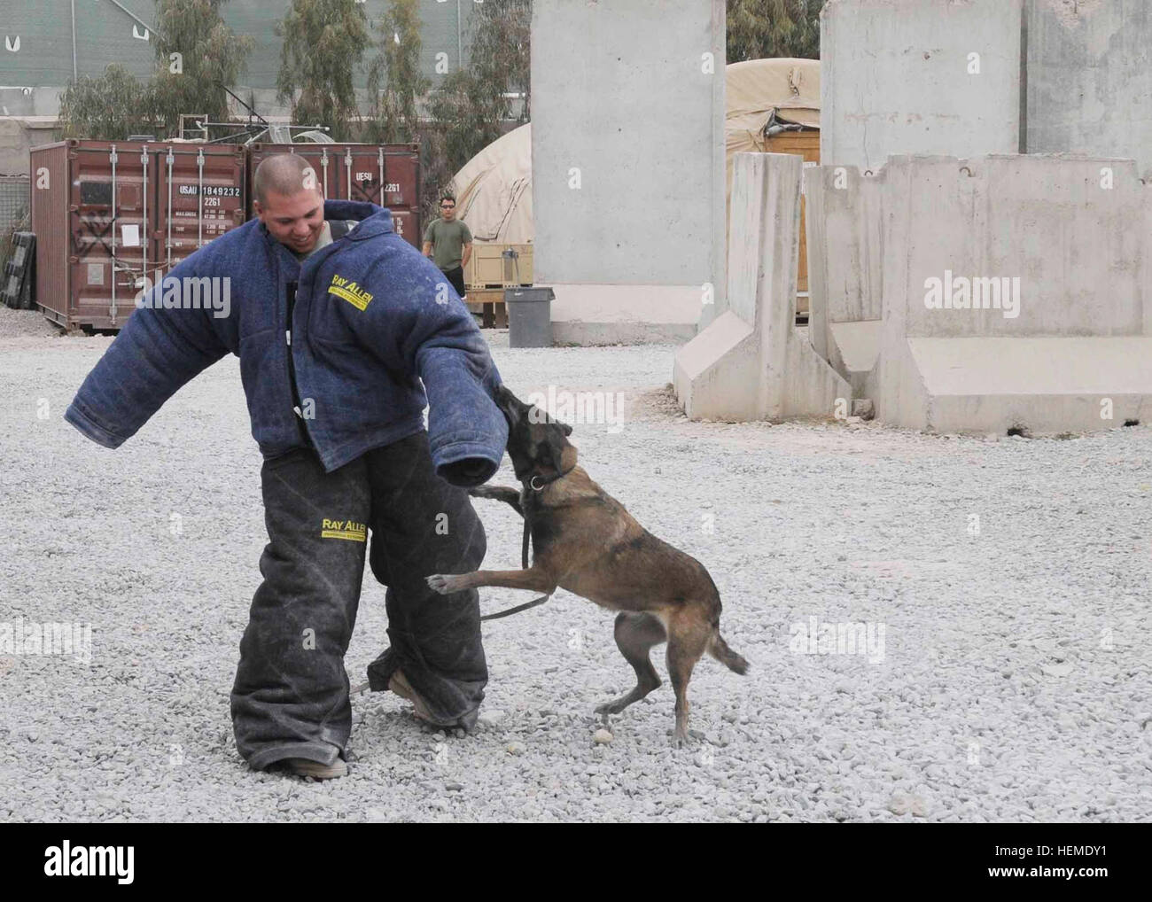 A Patrol Explosive Detection Dog participates in a training exercise ...