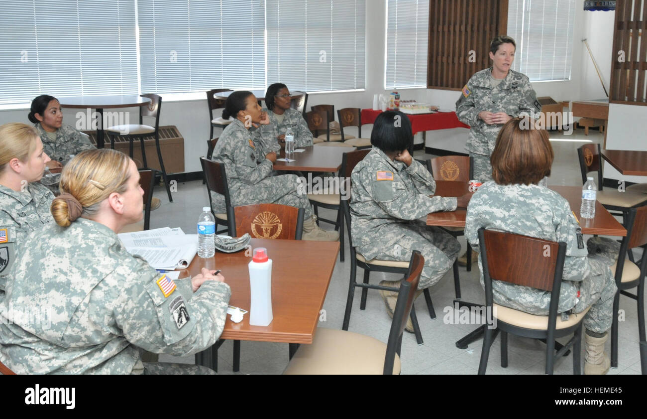 First Army Division West’s 402nd Field Artillery Brigade Commander, Col ...