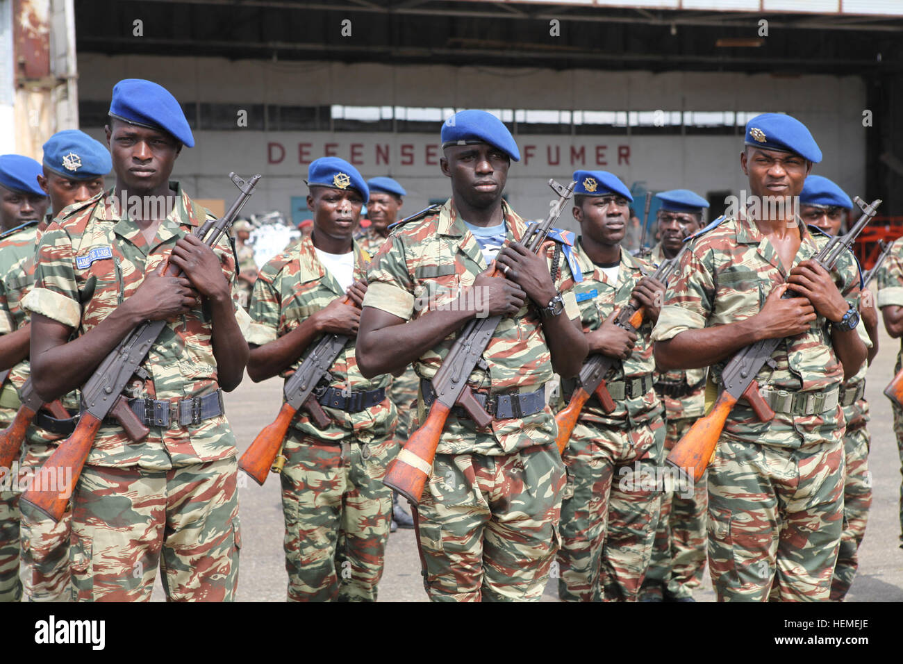 A group of Airmen from the Cameroonian Defense Force stand in formation ...