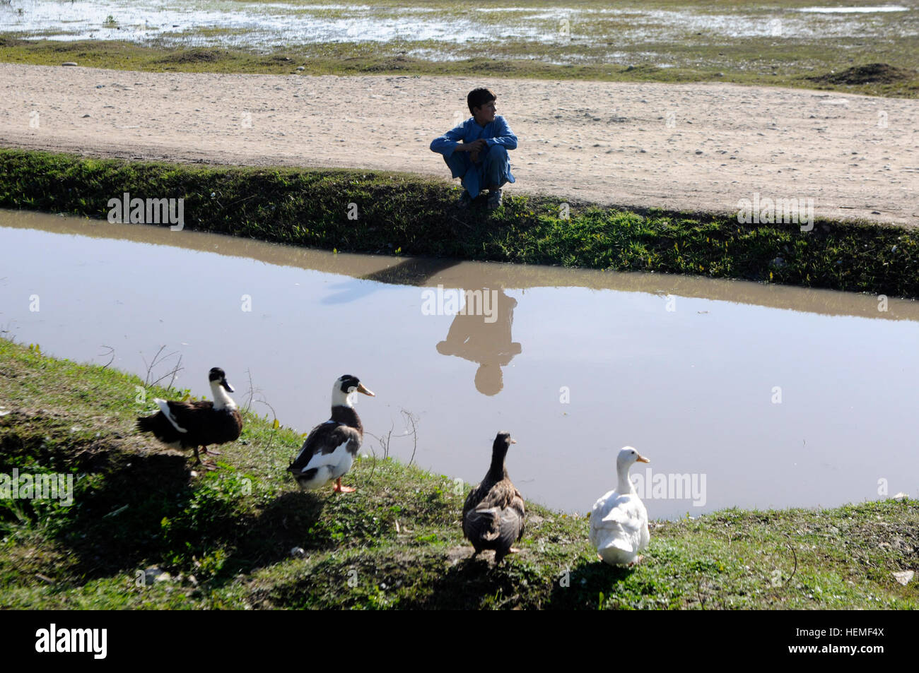 Military geese hi-res stock photography and images - Alamy