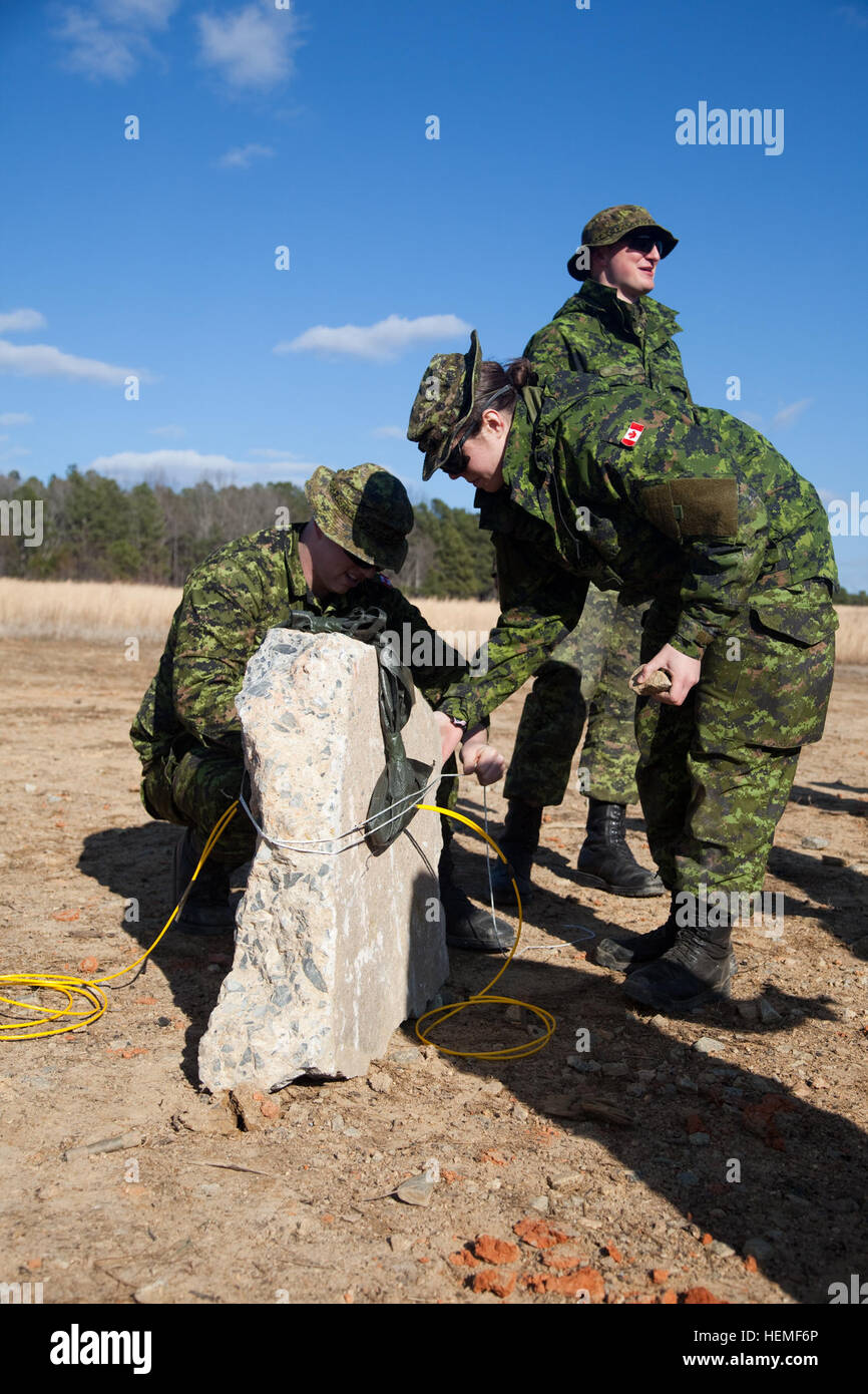 Soldiers from the 37 Combat Engineer Regiment, 37 Canadian Brigade ...