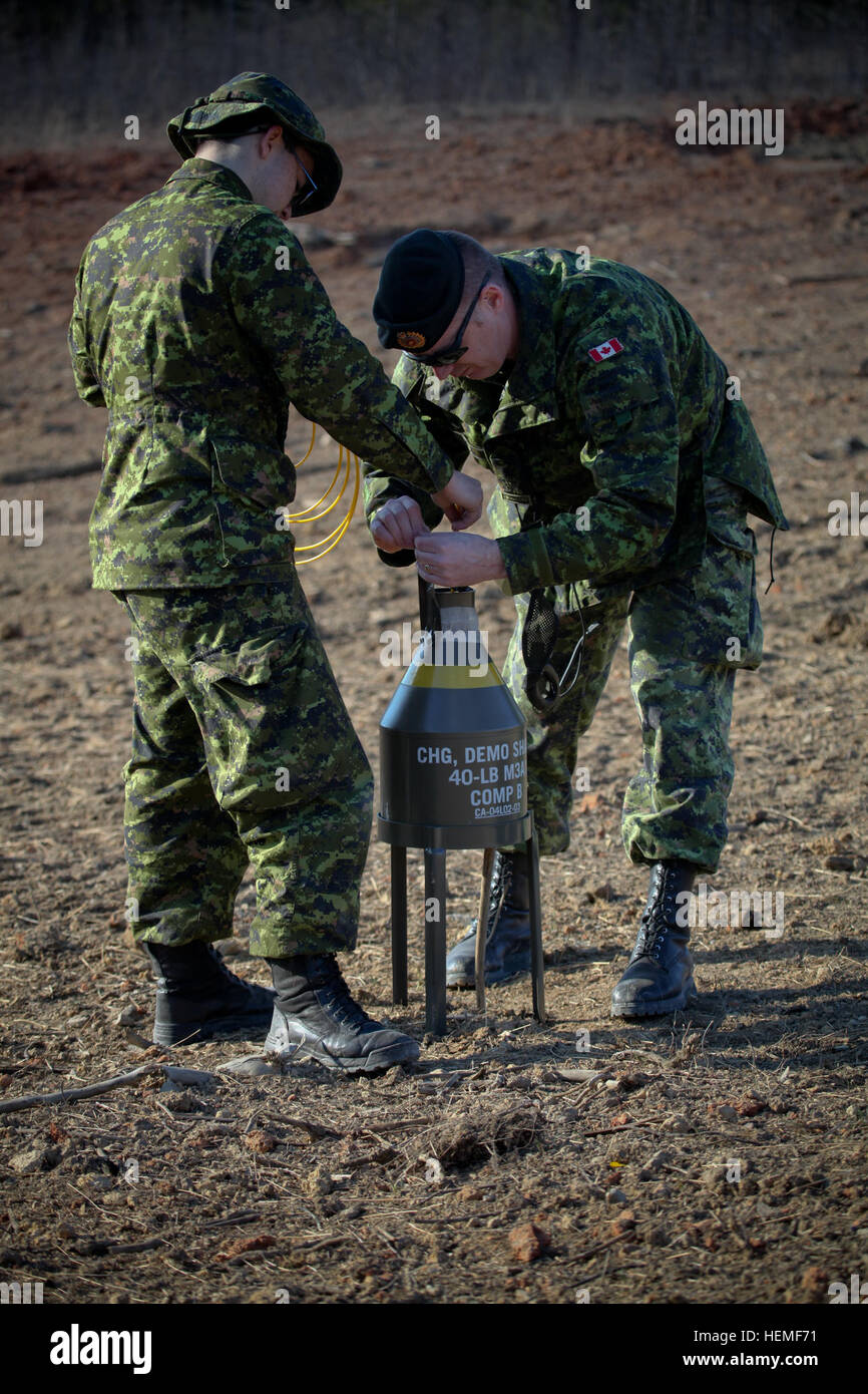 Soldiers from the 37 Combat Engineer Regiment, 37 Canadian Brigade ...
