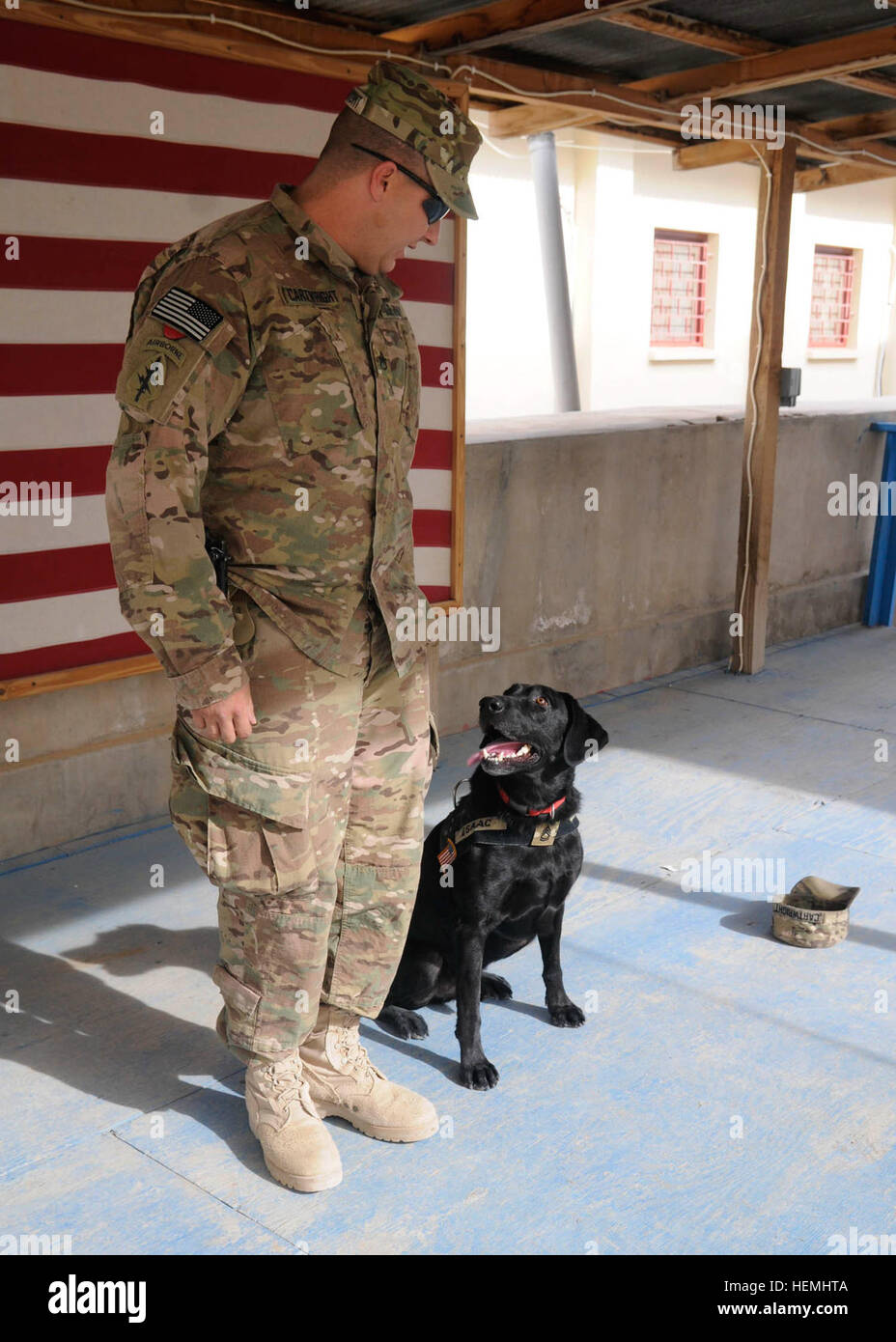 U s army service dog hi-res stock photography and images - Alamy