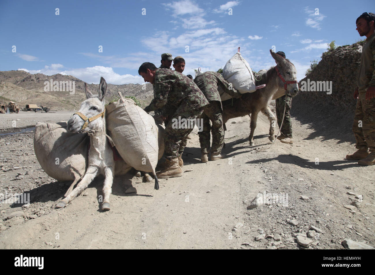 Soldiers Donkey Us Army