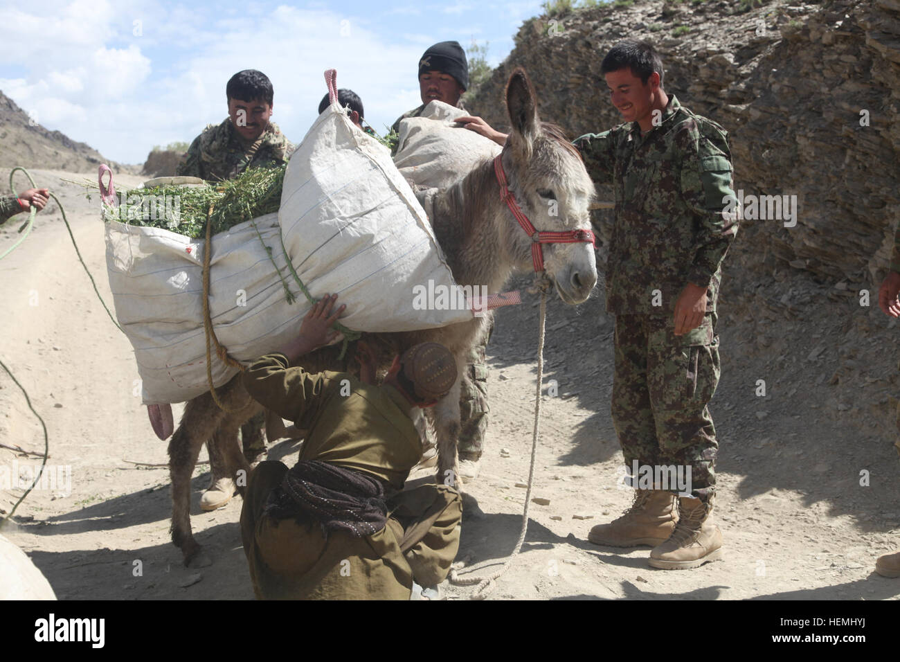 Soldiers Donkey Us Army