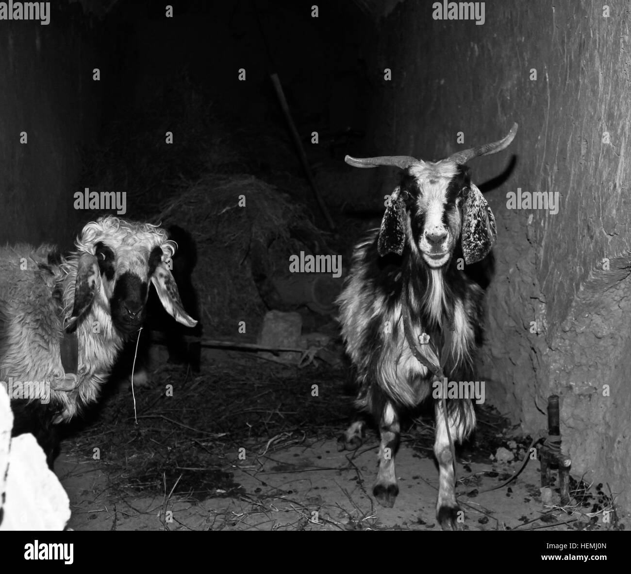 Taliban with weapons Black and White Stock Photos & Images - Alamy