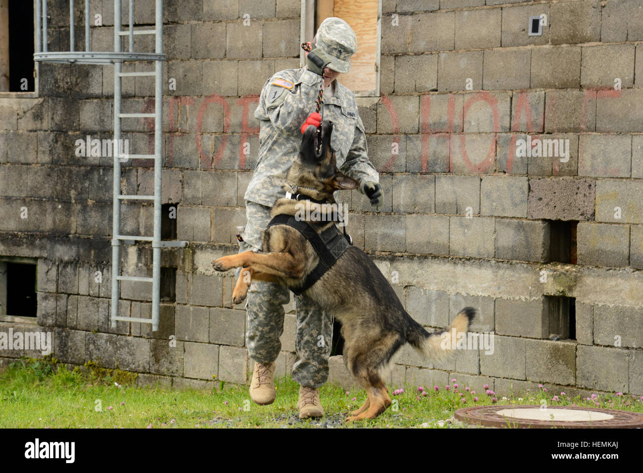 U.S. Army Sgt. Kara Yost, assigned to the 131st Military Working Dog ...