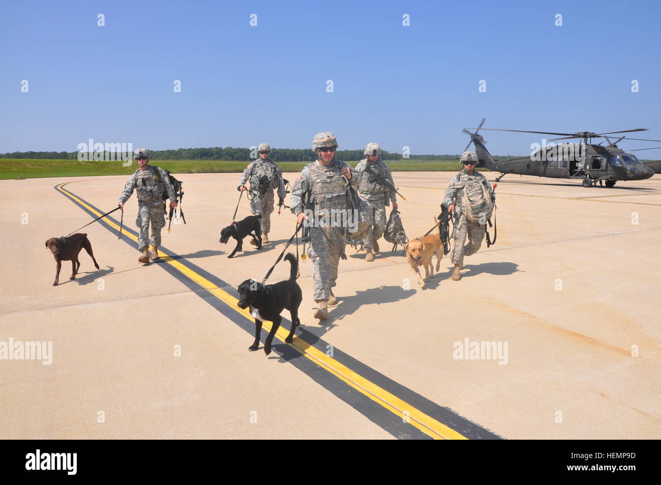 War mine dog hi-res stock photography and images - Alamy