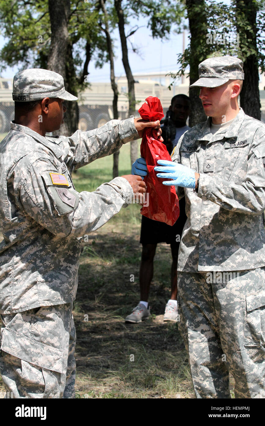 Magnolia, Ark. natie Staff Sgt. Reginald Alexander (left), a computer ...