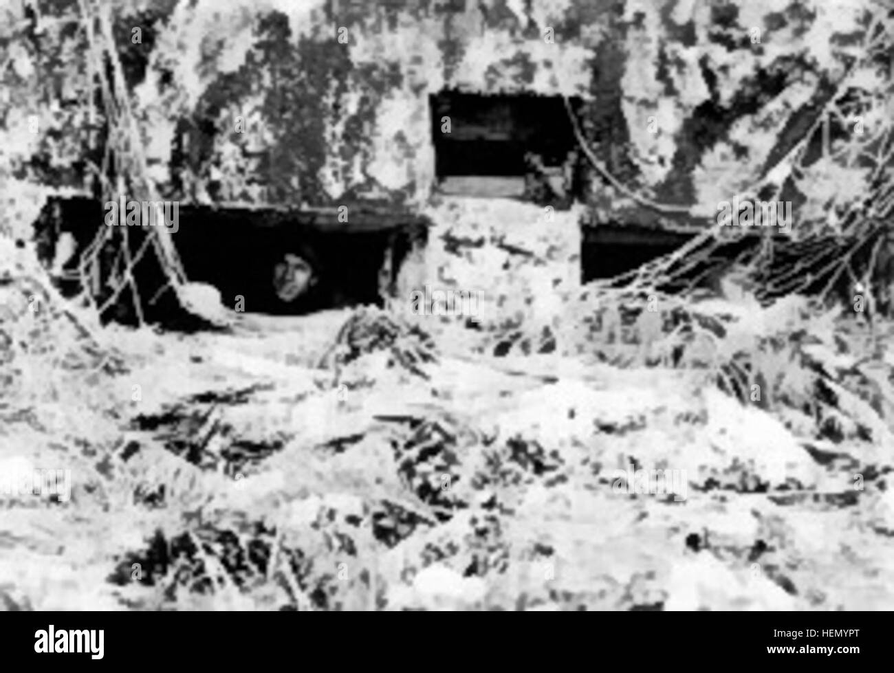 Japanese Fortification - concrete pillbox in hillside Stock Photo - Alamy
