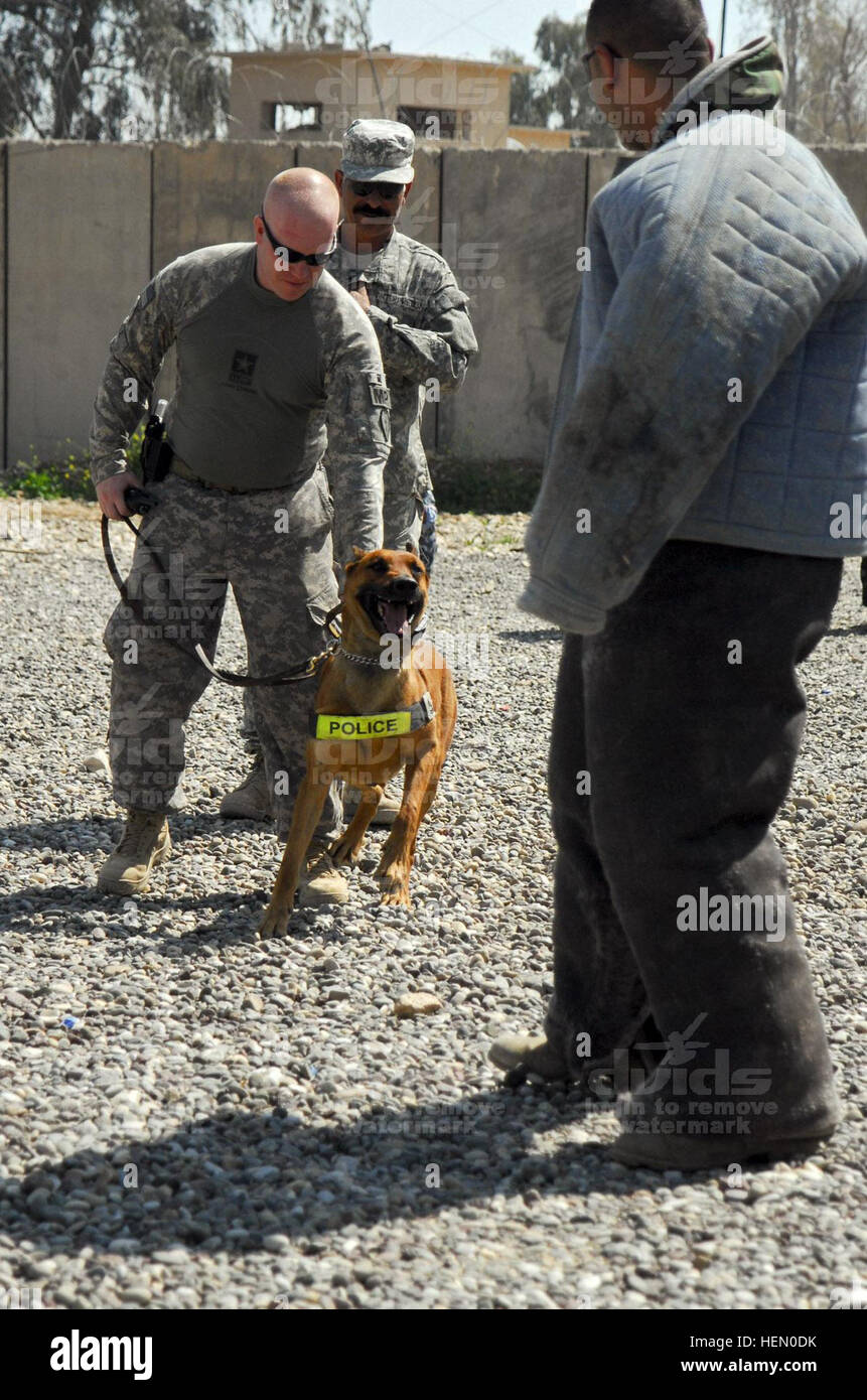 Rronnie helps train Iraqi soldiers Stock Photo - Alamy