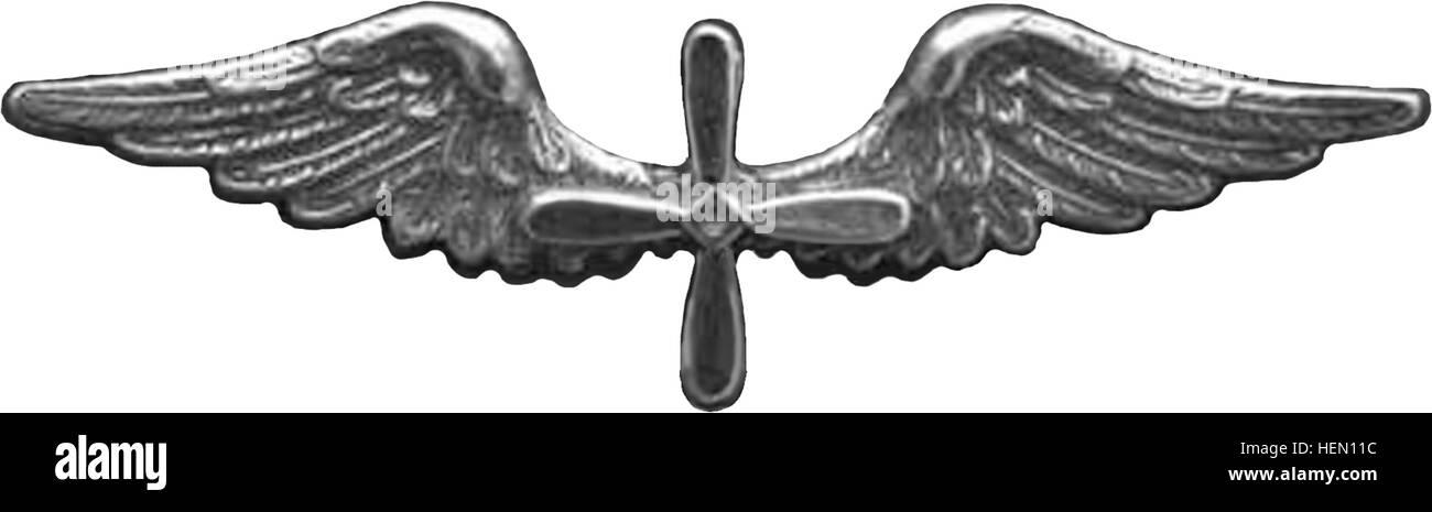 Usaaf enlisted aviator badge hi-res stock photography and images - Alamy