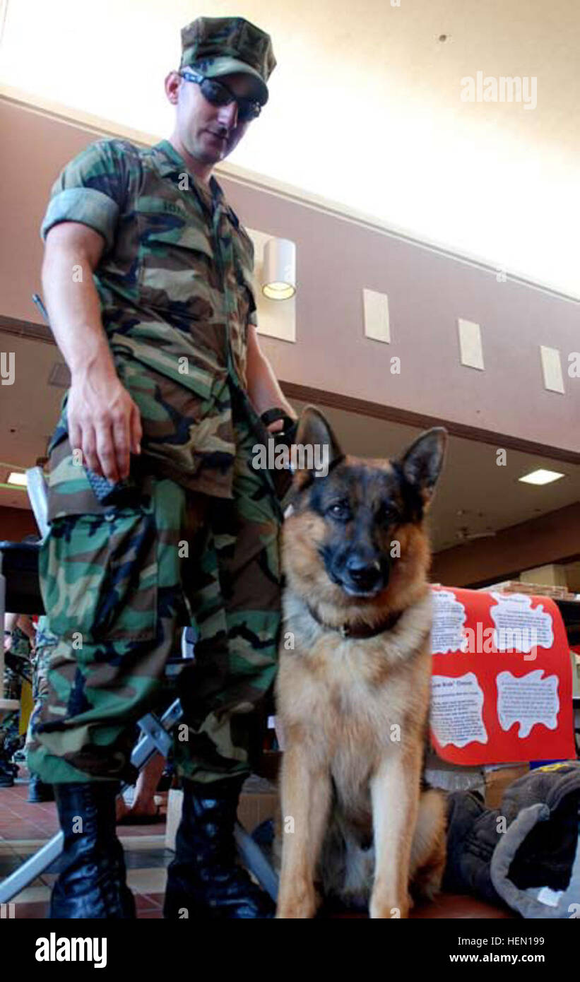 With gina the dog hi-res stock photography and images - Alamy