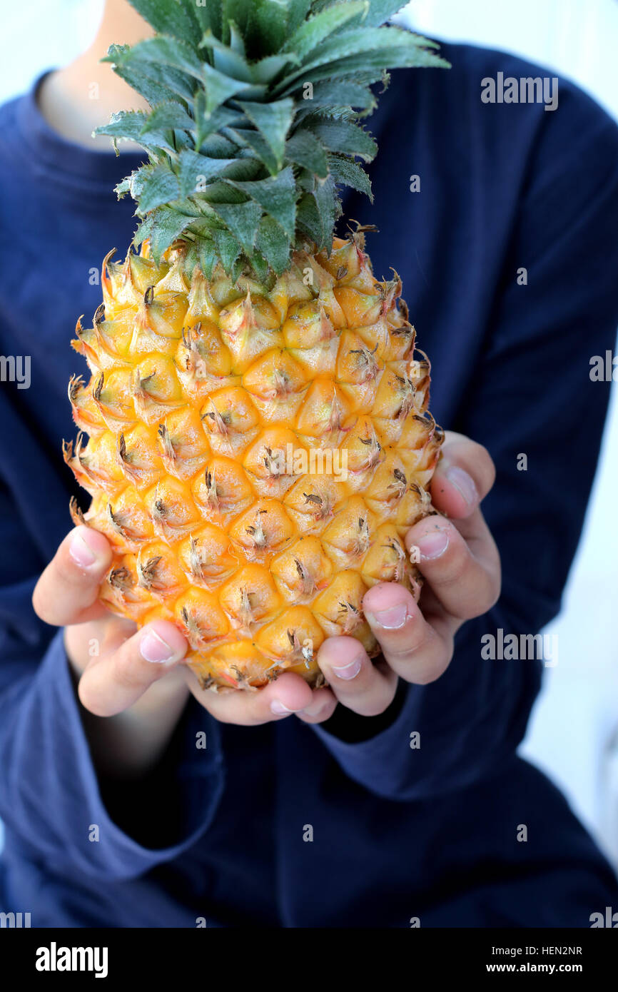 A child holding whole pineapple fruit in hand Stock Photo - Alamy