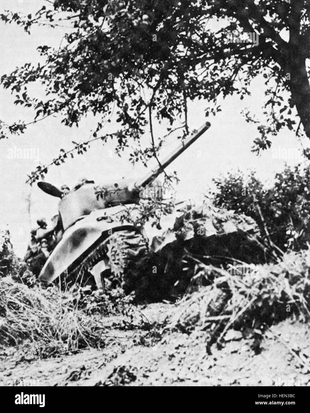 Sherman Rhino Normandy 1944 Stock Photo - Alamy