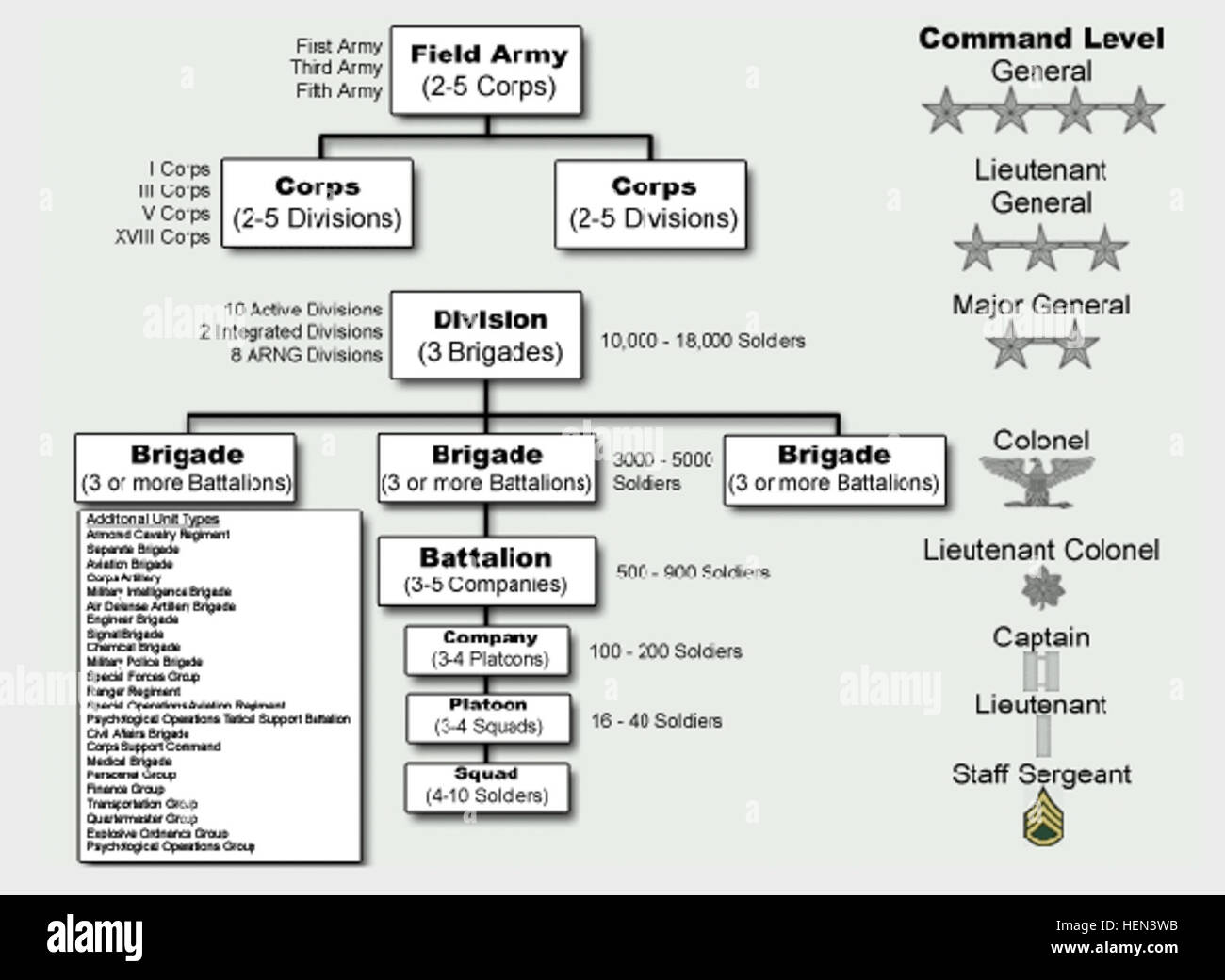 Diagram illustrating the structure and organization of a U.S. Army ...