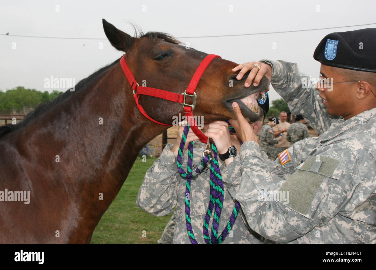 Military operations training exercises hi-res stock photography and ...