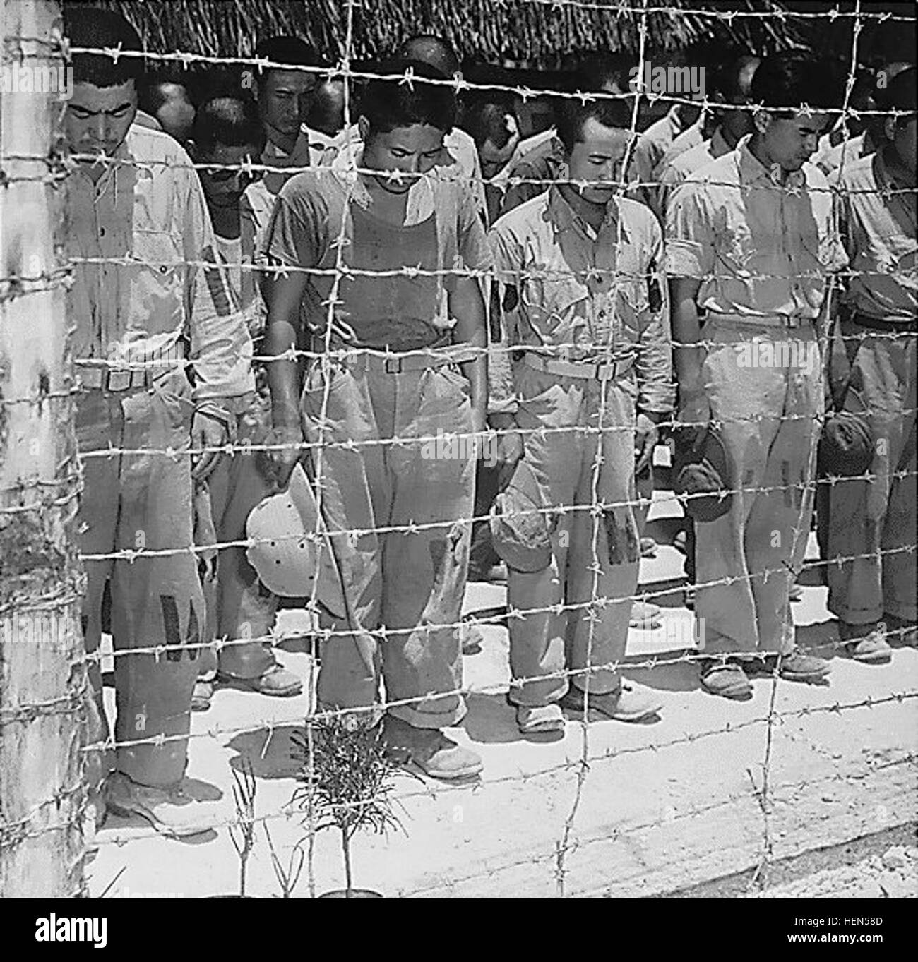 Japanese Prisoners of War at Guam - 15 August 1945 Stock Photo - Alamy