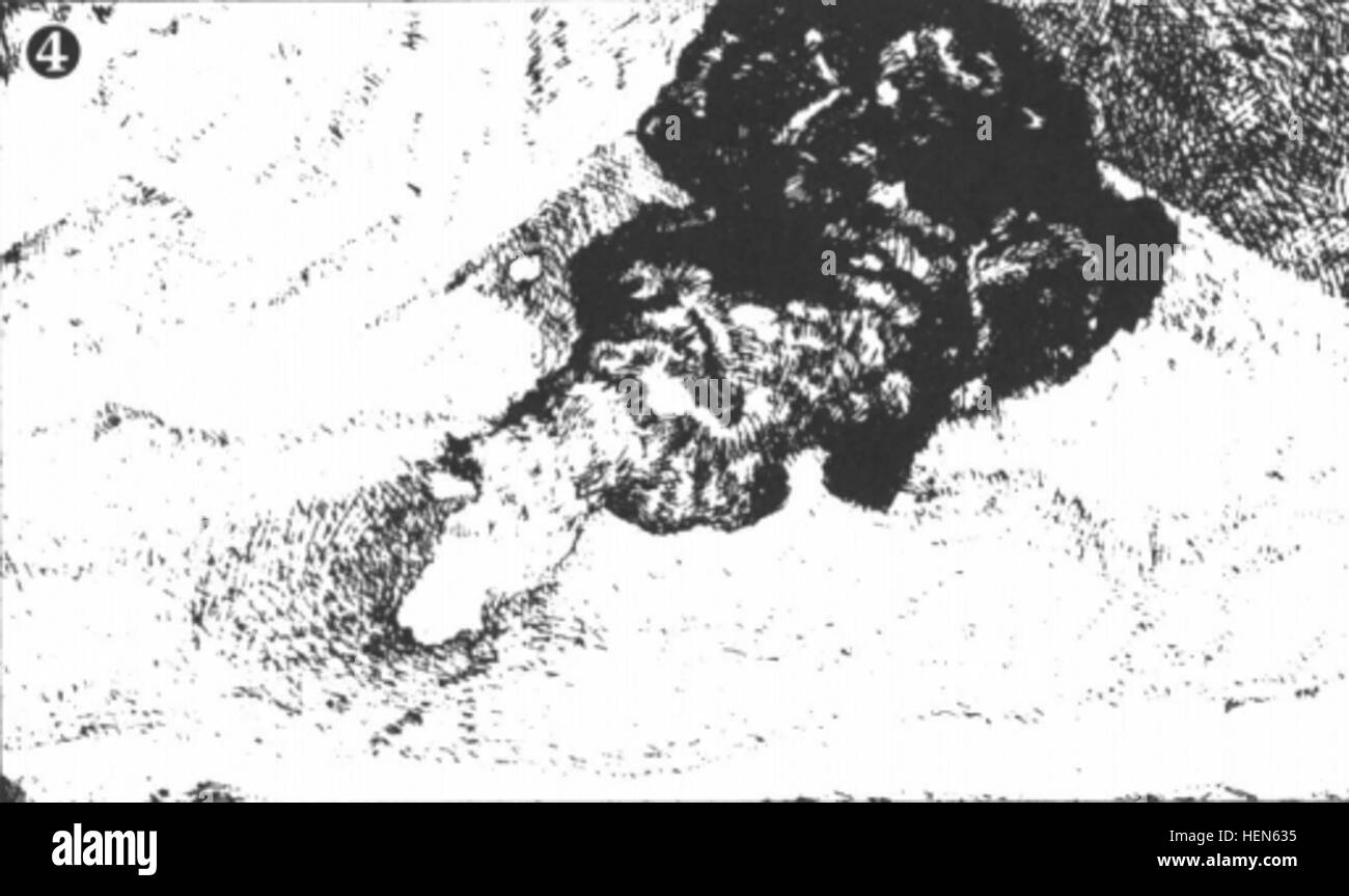 Stinger Black and White Stock Photos & Images - Alamy