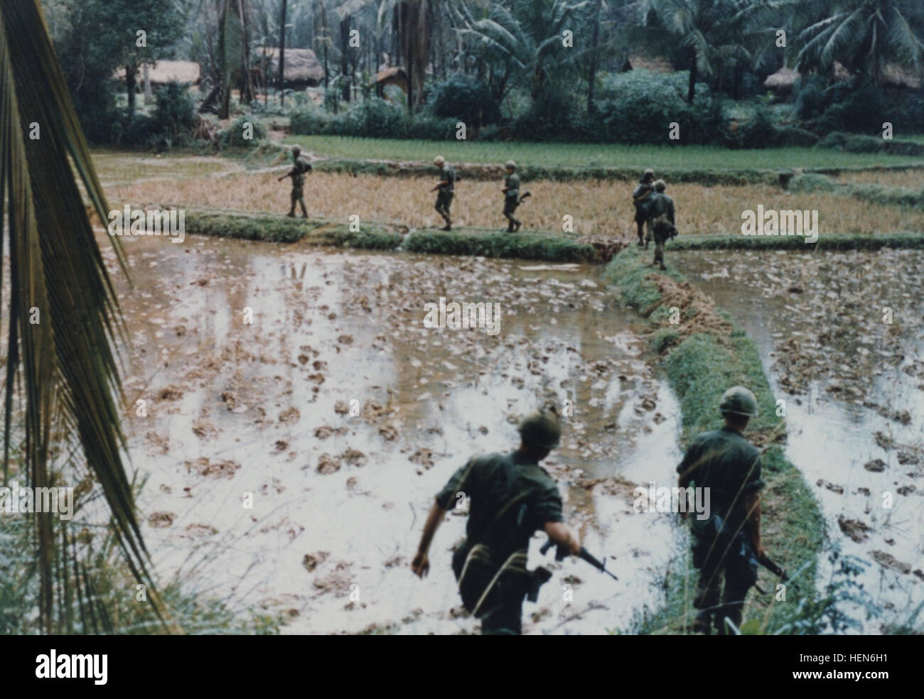 Rice paddy patrol hi-res stock photography and images - Alamy