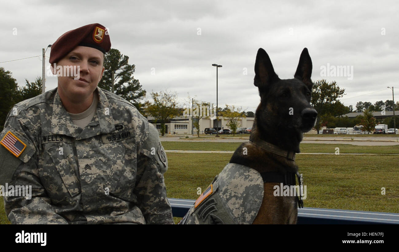 Doc, a retired military working dog, is the face of canine post ...